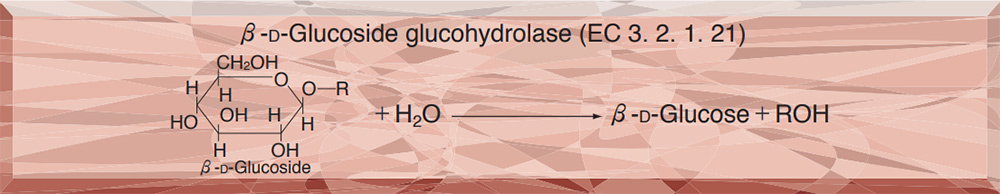 β-GLUCOSIDASE from Sweet almond - glycodepot.com
