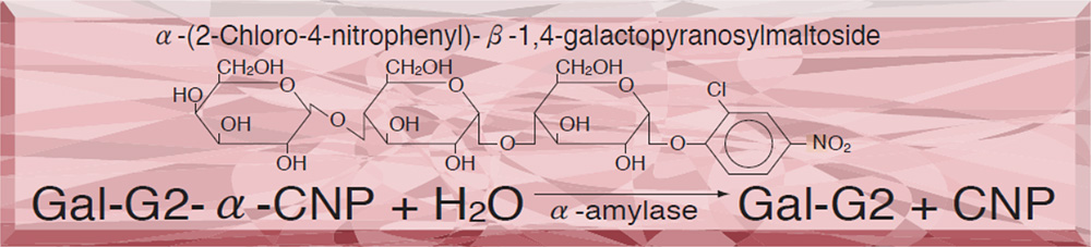 Gal-G2-α-CNP for Amylase substrates for Amylase substrates - glycodepot.com